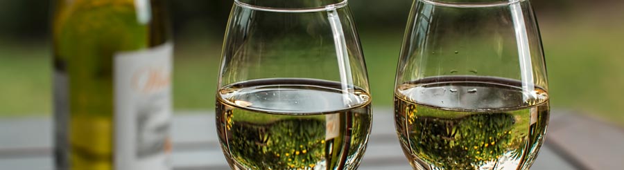 Bulgarischer Weißwein | Bossev Weinmarketing